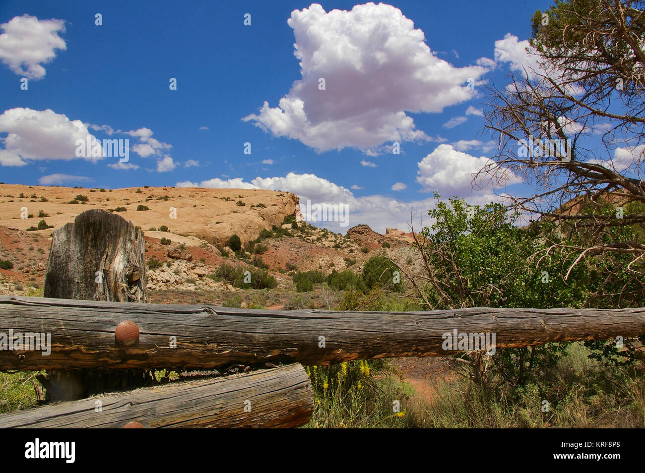 Rocky desert hi-res stock photography and images - Alamy
