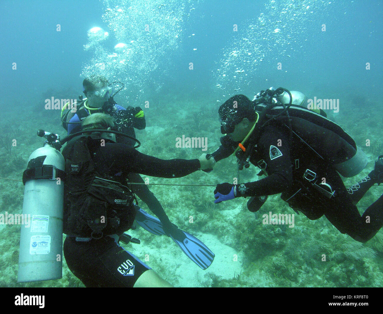 NEEMO 12 training handshake Stock Photo - Alamy