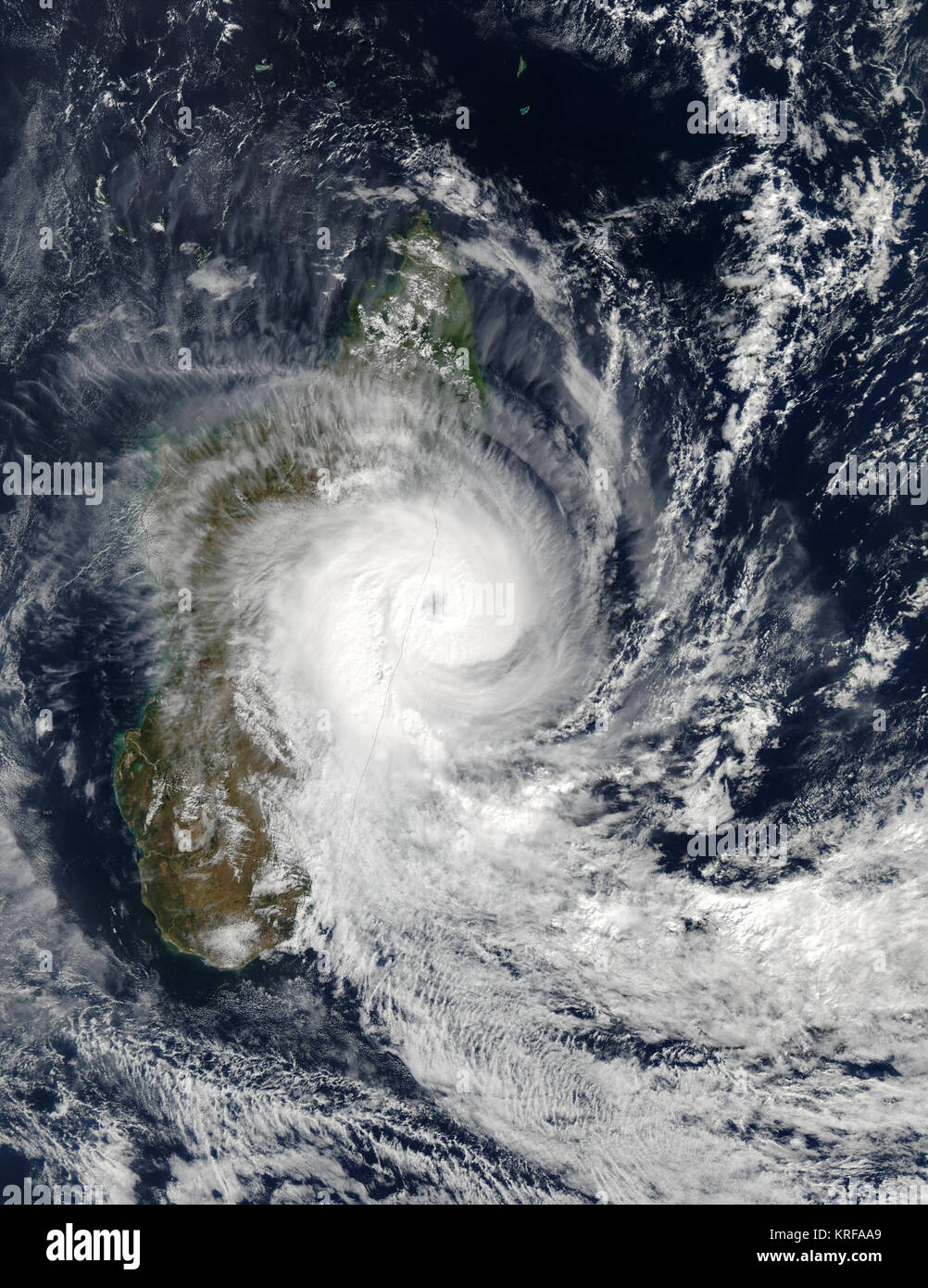 Manou hi-res stock photography and images - Alamy