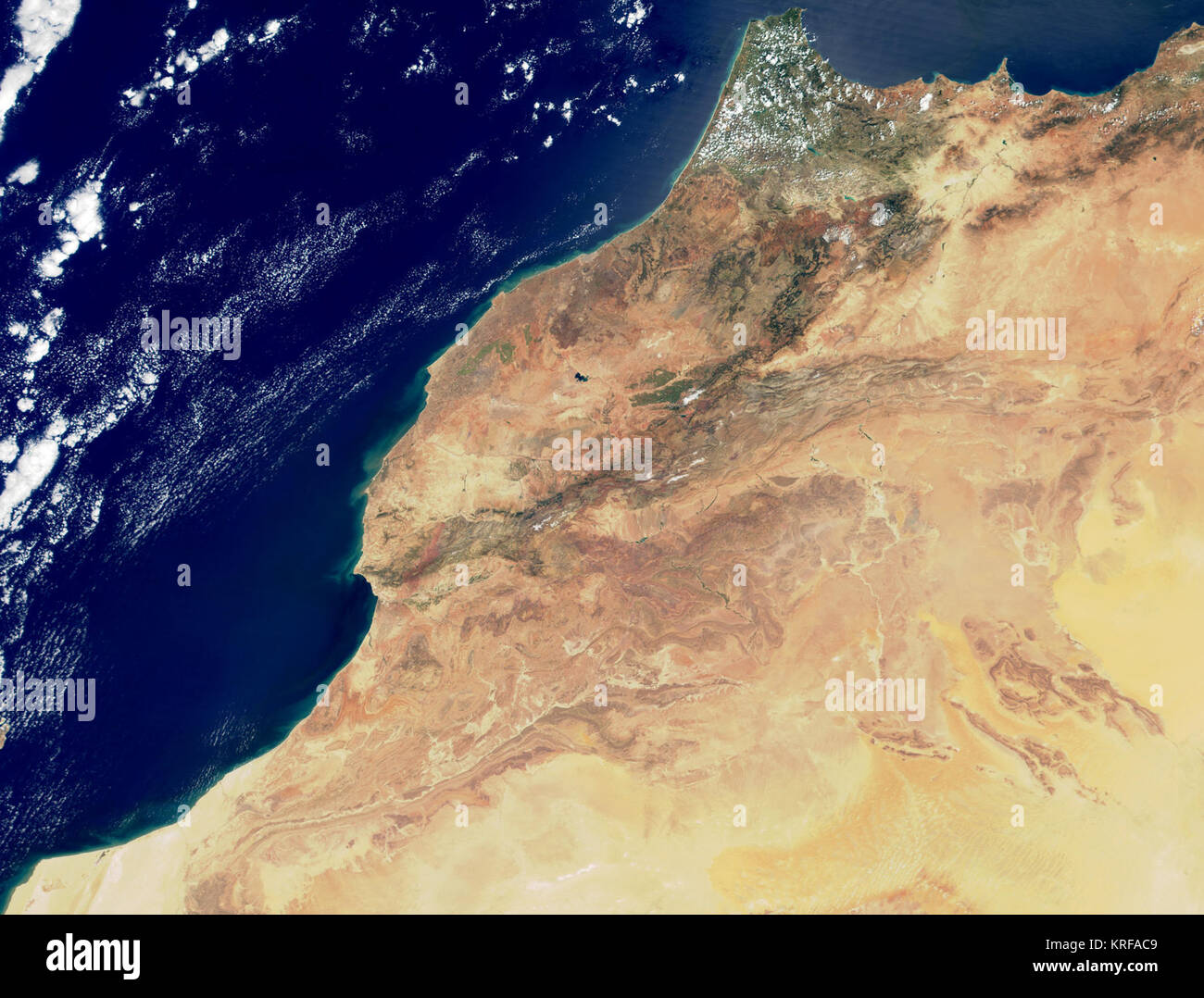 Modis morocco lrg Stock Photo - Alamy