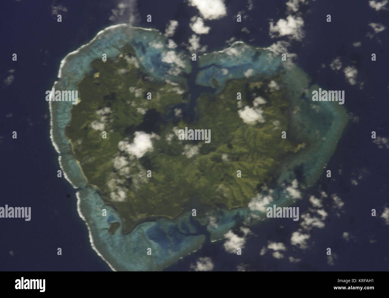 Matuku hi-res stock photography and images - Alamy