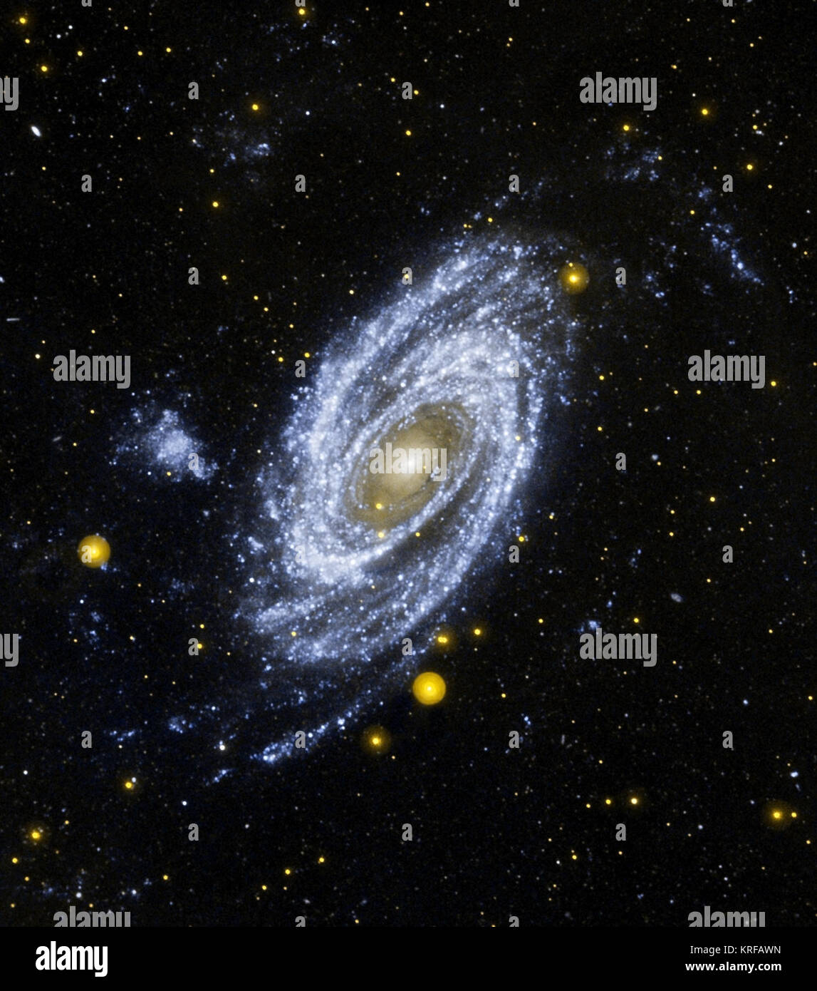 M81 wide Galex Stock Photo - Alamy