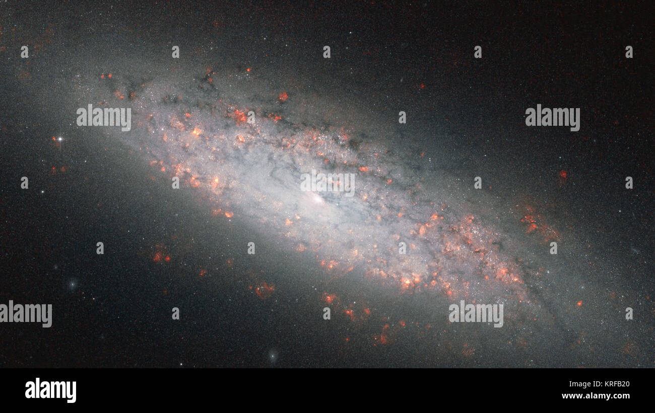 NGC 6503 HST Stock Photo - Alamy