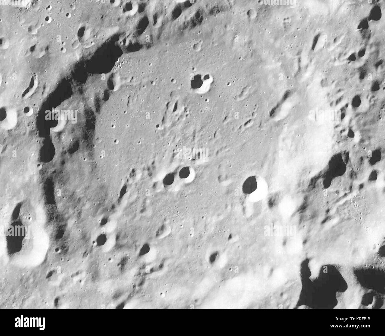 Pingre hi-res stock photography and images - Alamy