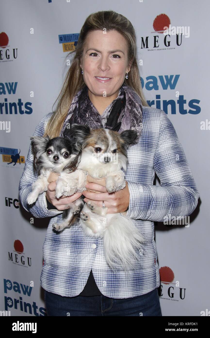 New York, NY, USA. 19th Dec, 2017. Royce at the First Annual Paw Prints ...