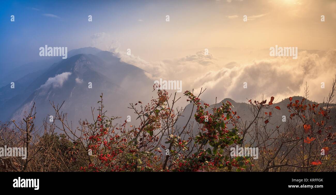Chongqin, Chongqin, China. 20th Dec, 2017. Chongqing, CHINA-20th ...