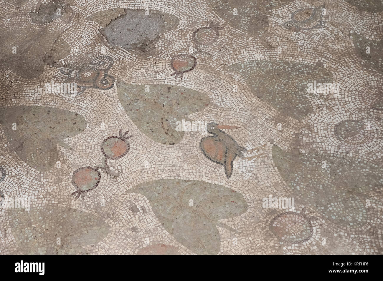 Bet Shemesh, Israel. 20th December, 2017. Remains of a Byzantine Period ...