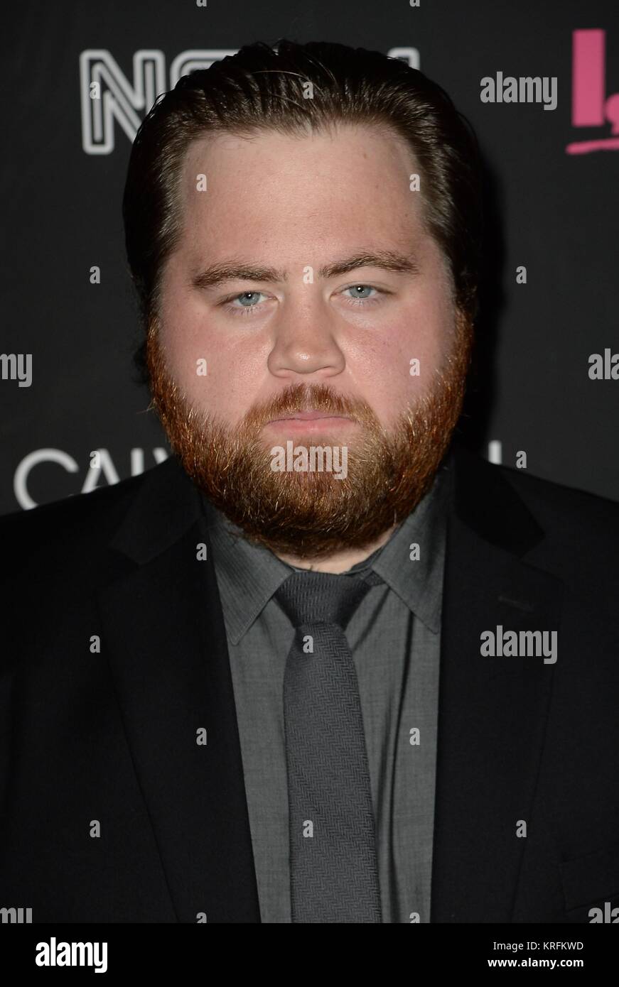 Paul Walter Hauser at arrivals for I, TONYA Premiere, Village East ...