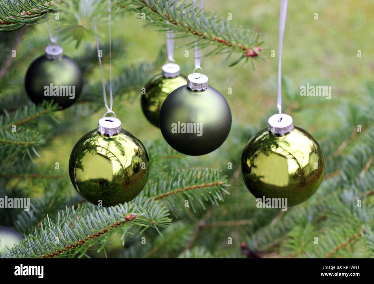 green balls on a christmas tree, outdoor, close-up Stock Photo - Alamy