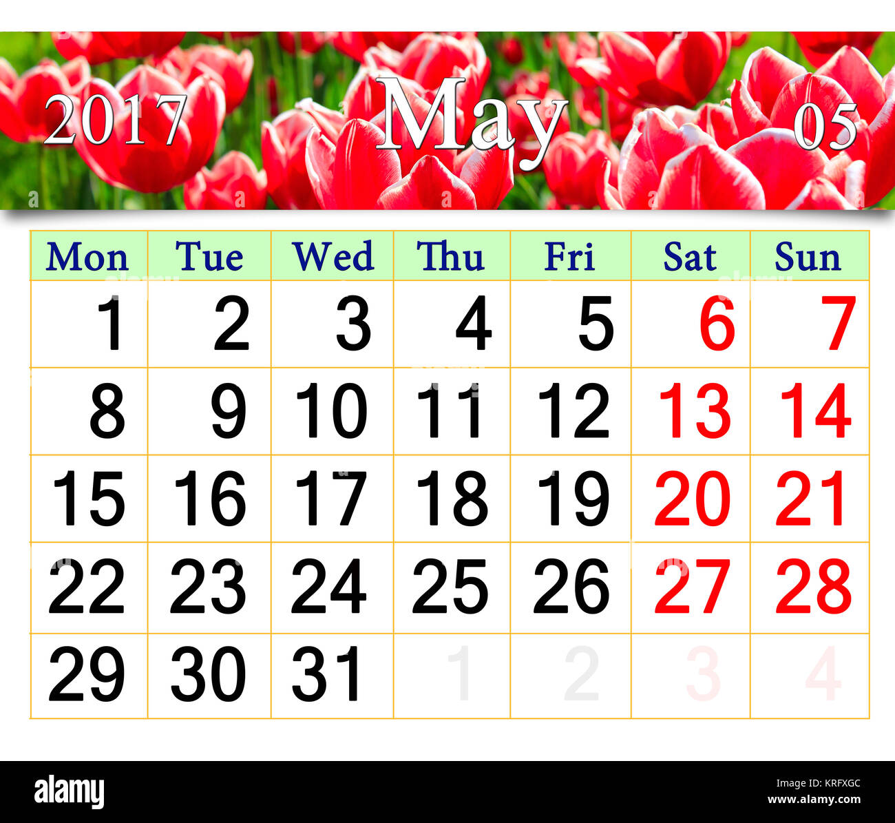 calendar for May 2017 with red tulips on the flower-bed Stock Photo - Alamy