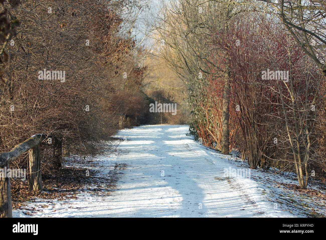 Road through bush hi-res stock photography and images - Alamy