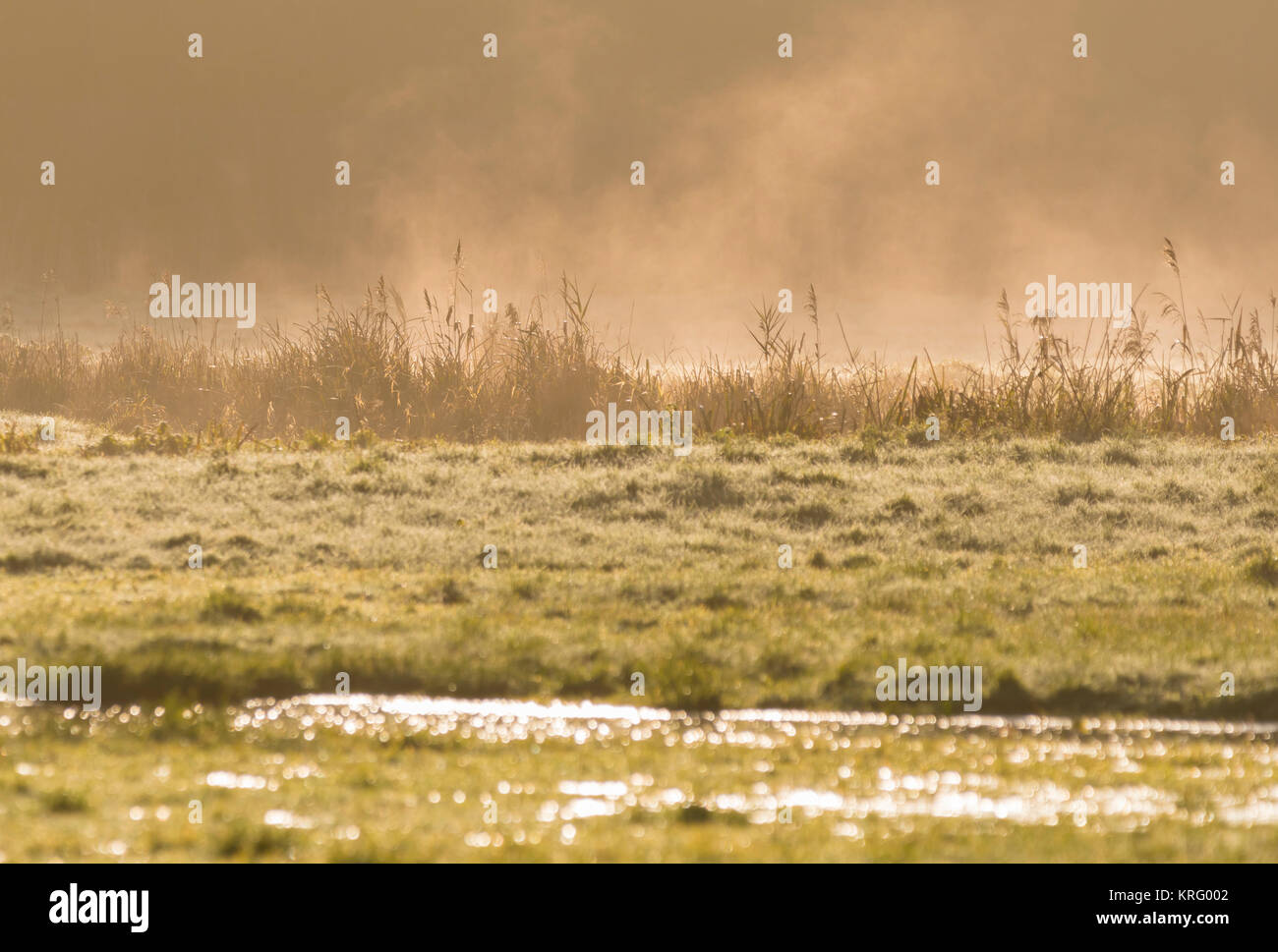 Mist rising from melting frost in a field as the morning sun warms ...