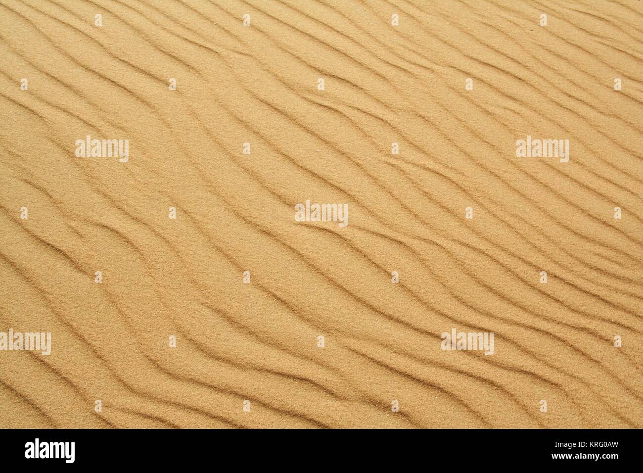 golden sand on the beach 12 Stock Photo - Alamy