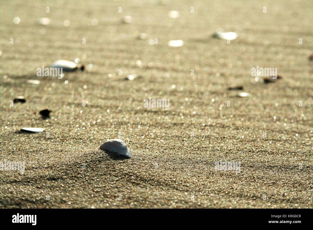 golden sand on the beach 1 Stock Photo - Alamy