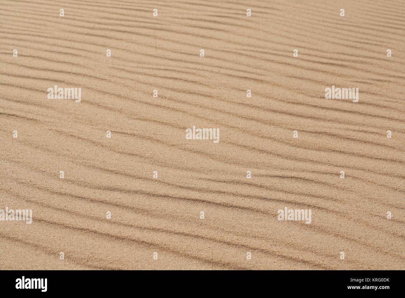 golden sand on the beach 9 Stock Photo - Alamy