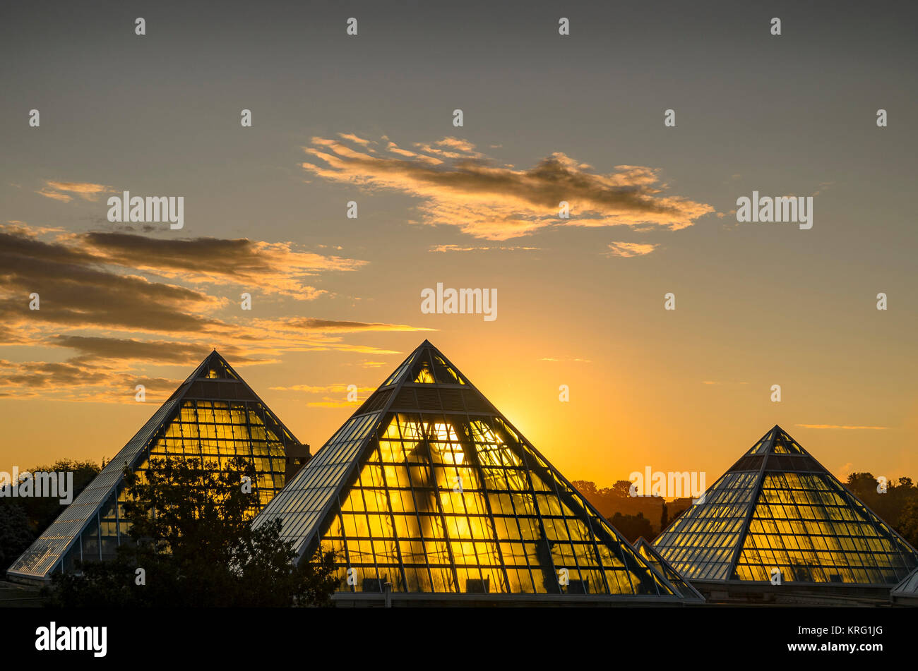 Muttart Conservatory, Botanical Garden, Edmonton, Alberta, Canada Stock ...