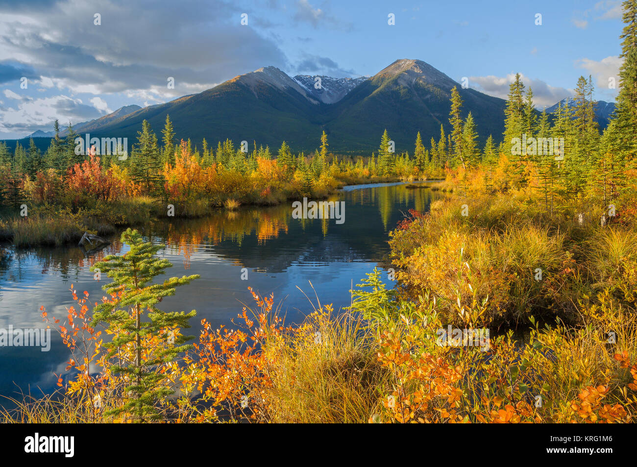 Fall colour, Vermilion Lakes, Banff National Park, Alberta, Canada ...