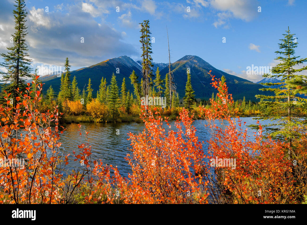 Fall colour, Vermilion Lakes, Banff National Park, Alberta, Canada ...