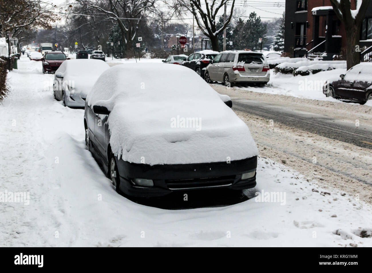 Major snow storm and blizzard beating through Quebec, accumulating snow ...