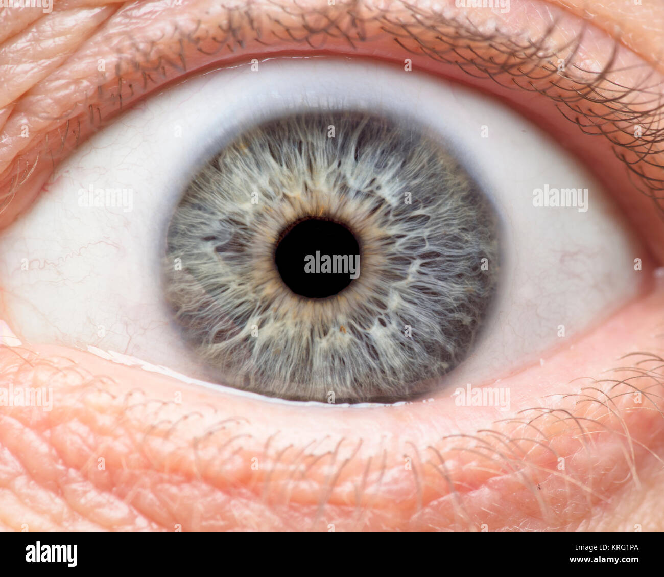 Iridology hi-res stock photography and images - Alamy