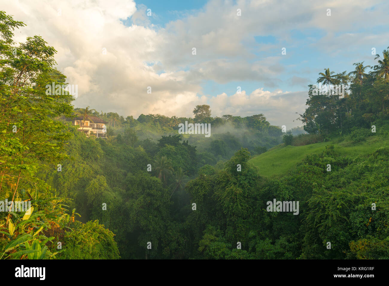 Sunrise over jungle Stock Photo - Alamy