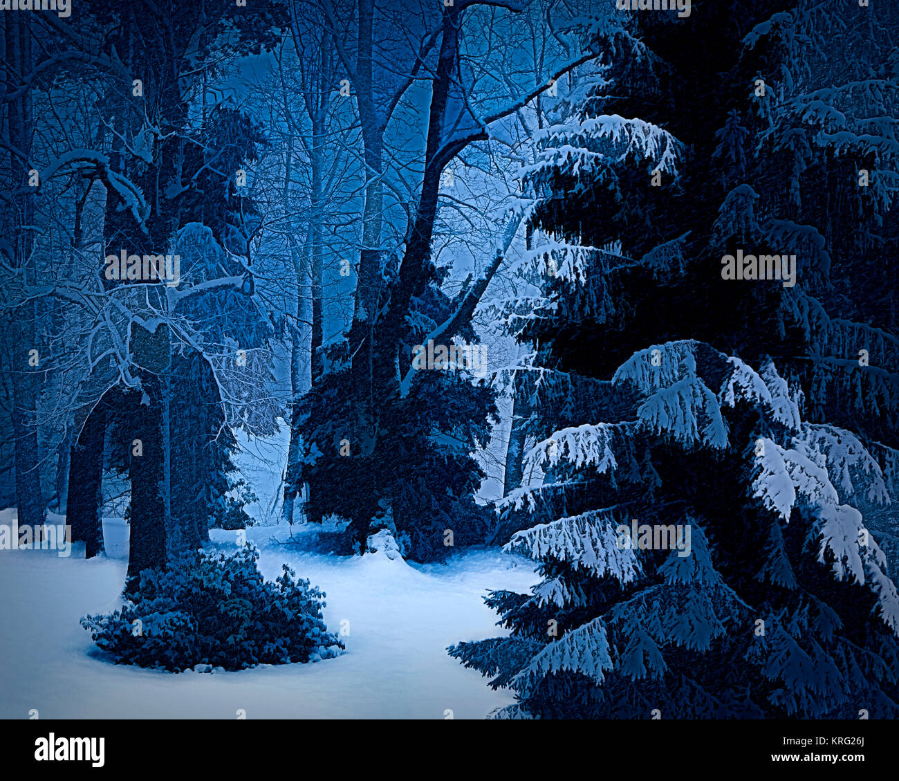 DIGITAL ART: Winter Wonderland Stock Photo - Alamy