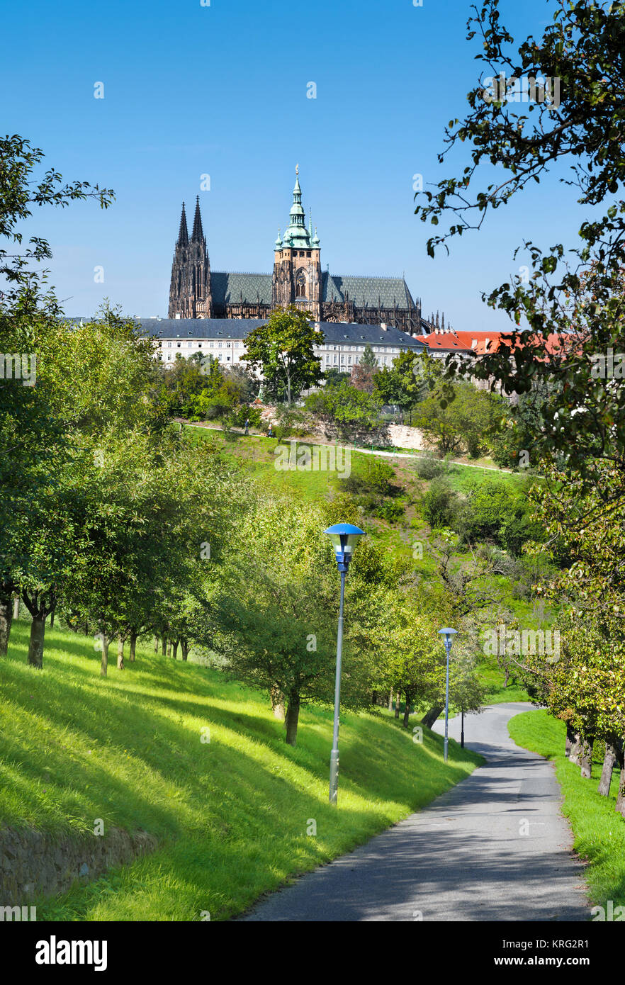 Prague, St. Vitus Cathedral on a late Summer afternoon Stock Photo - Alamy