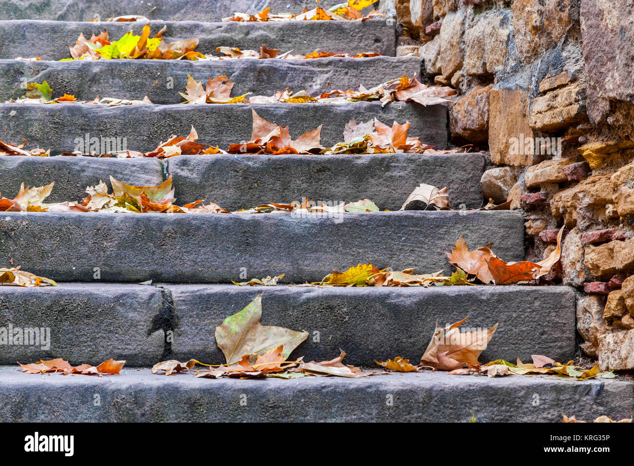 Stairs with autumn leaves hi-res stock photography and images - Alamy