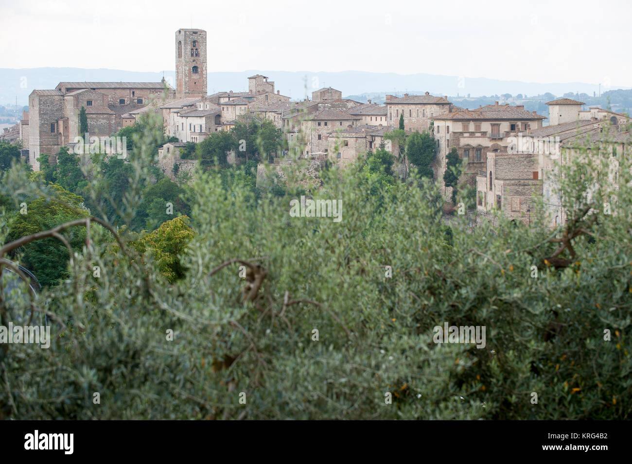 Bell tower of Concattedrale dei Santi Alberto e Marziale (Cathedral of ...