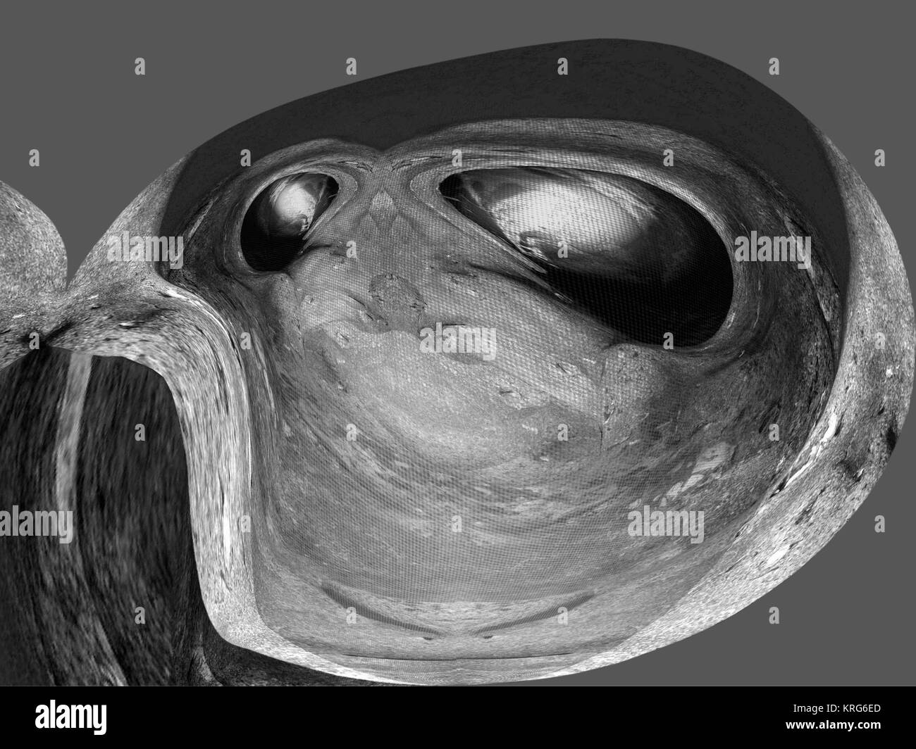vis a 'vis Stock Photo - Alamy
