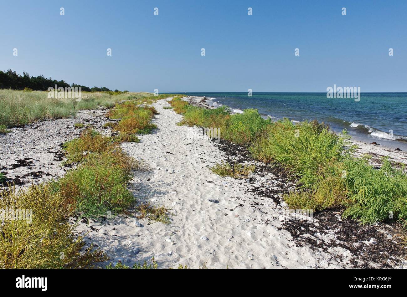 fehmarn,natural beach in the northwest of the island Stock Photo - Alamy