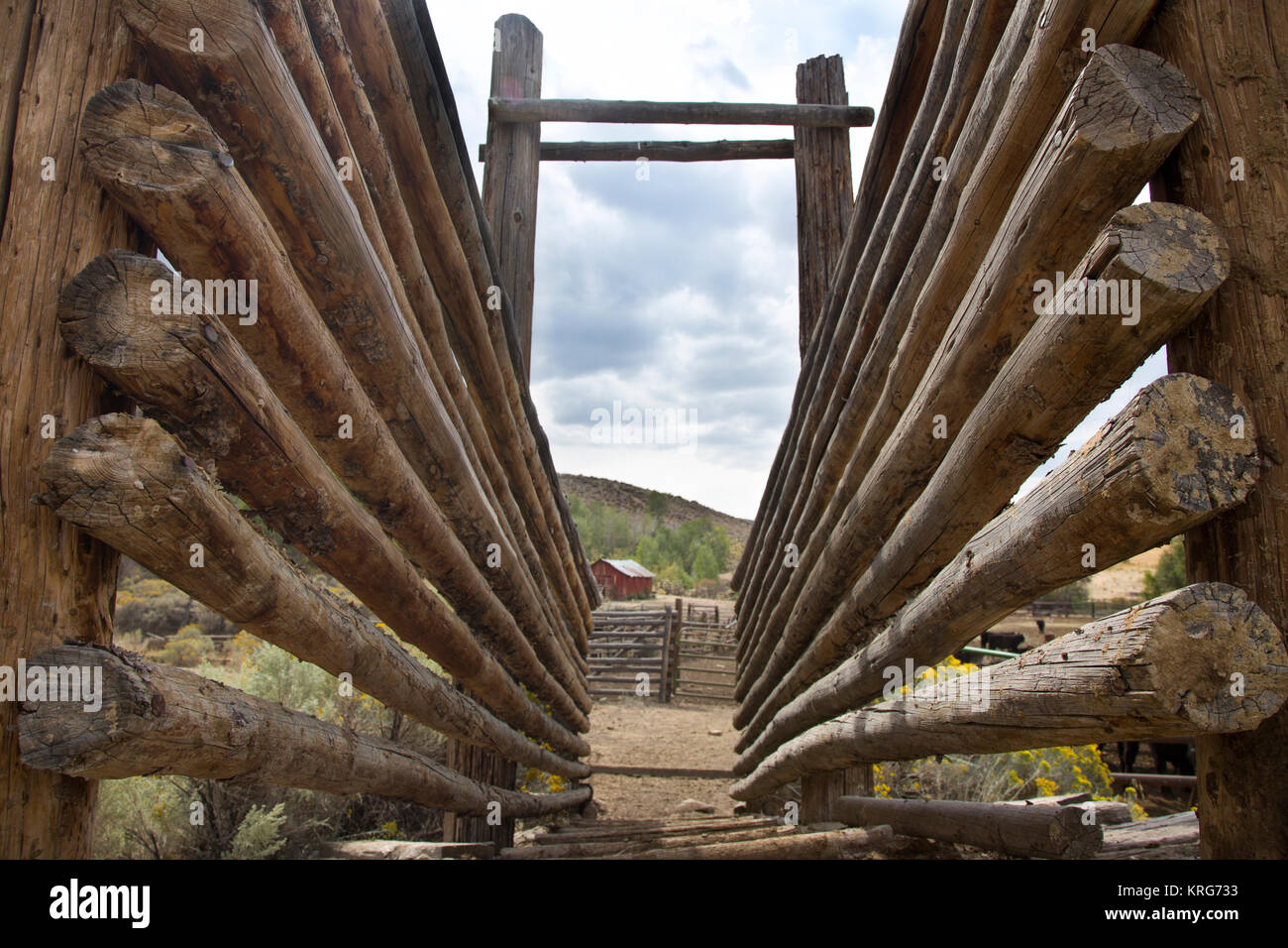 High chute hi-res stock photography and images - Alamy