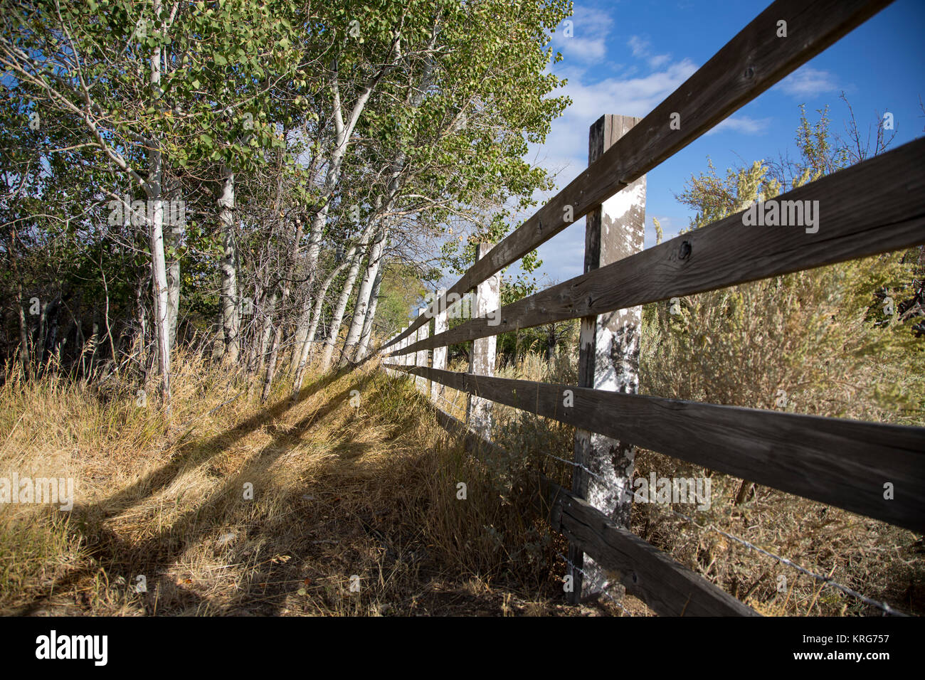 Ranch fence grassland hi-res stock photography and images - Alamy