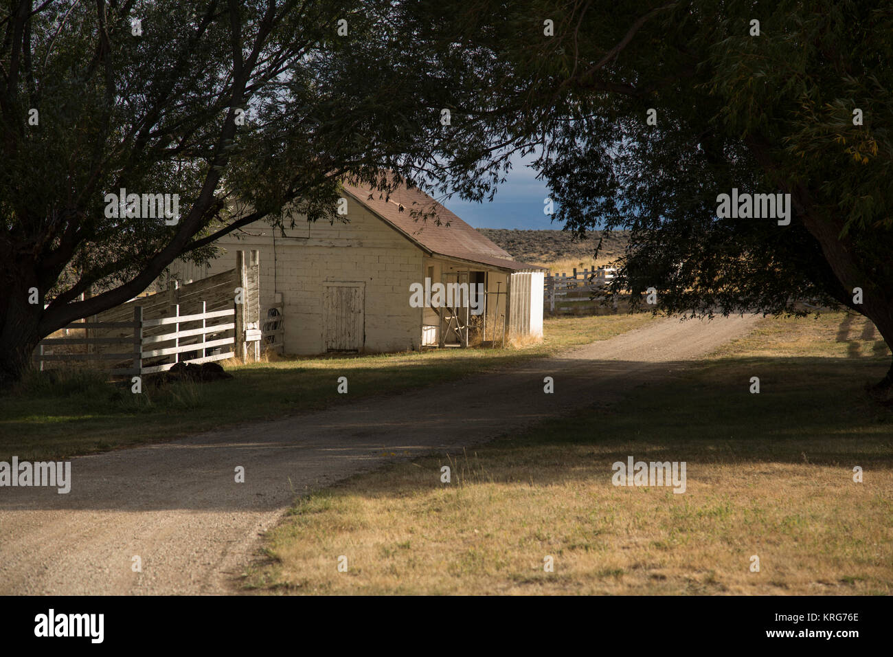 Nevada ranch horse trail hi-res stock photography and images - Alamy