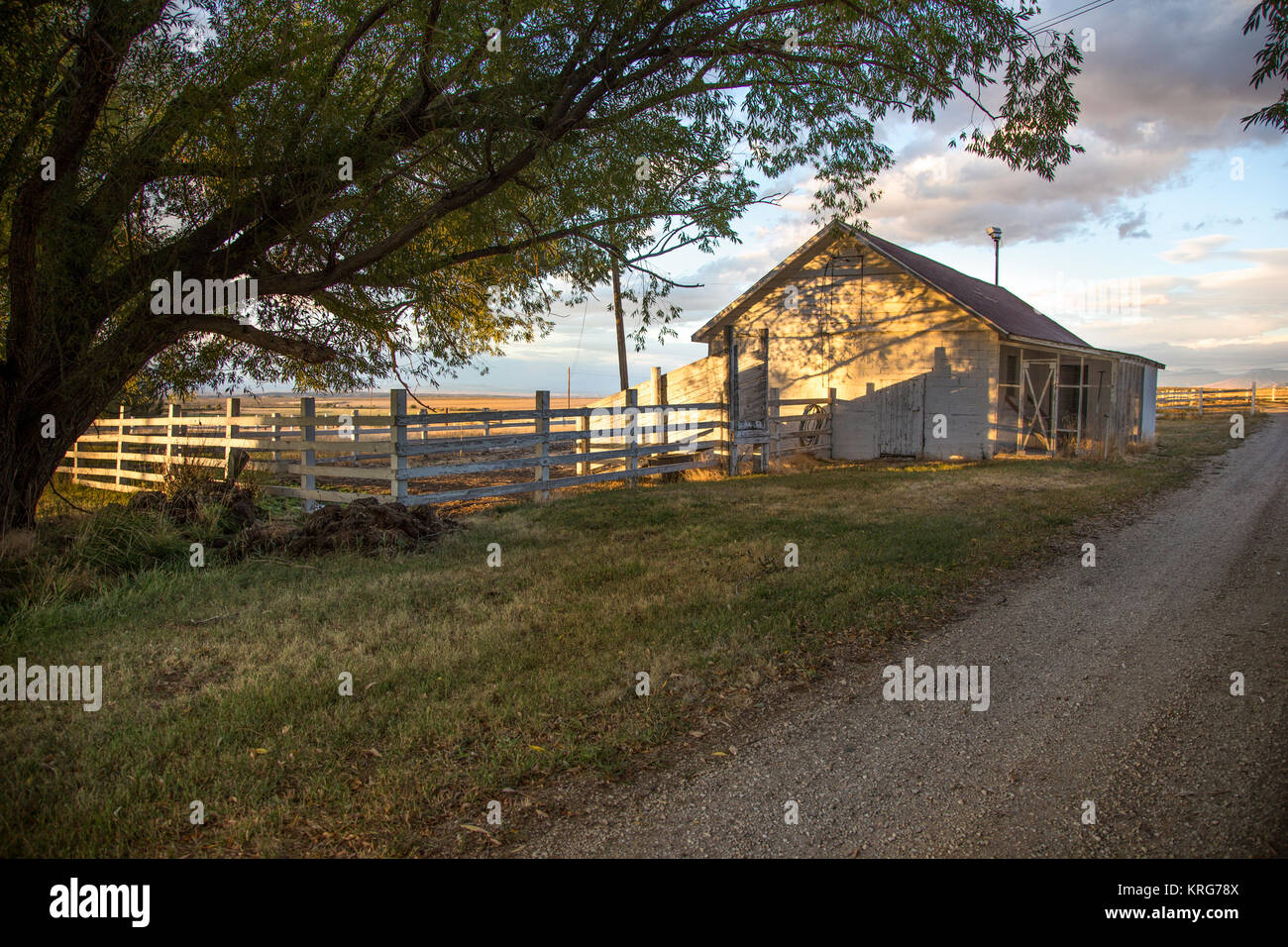 Nevada ranch horse trail hi-res stock photography and images - Alamy