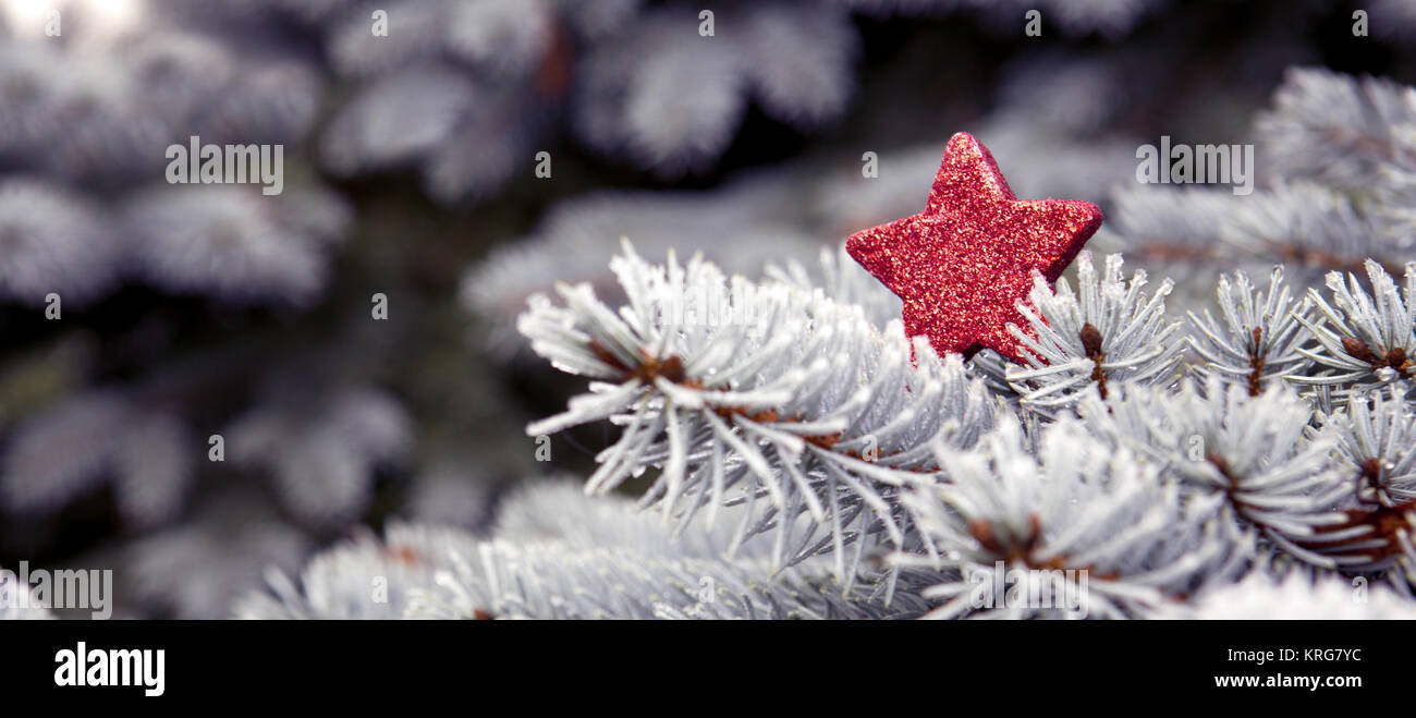 Close up of red star on pine branch.Christmas background Stock Photo ...