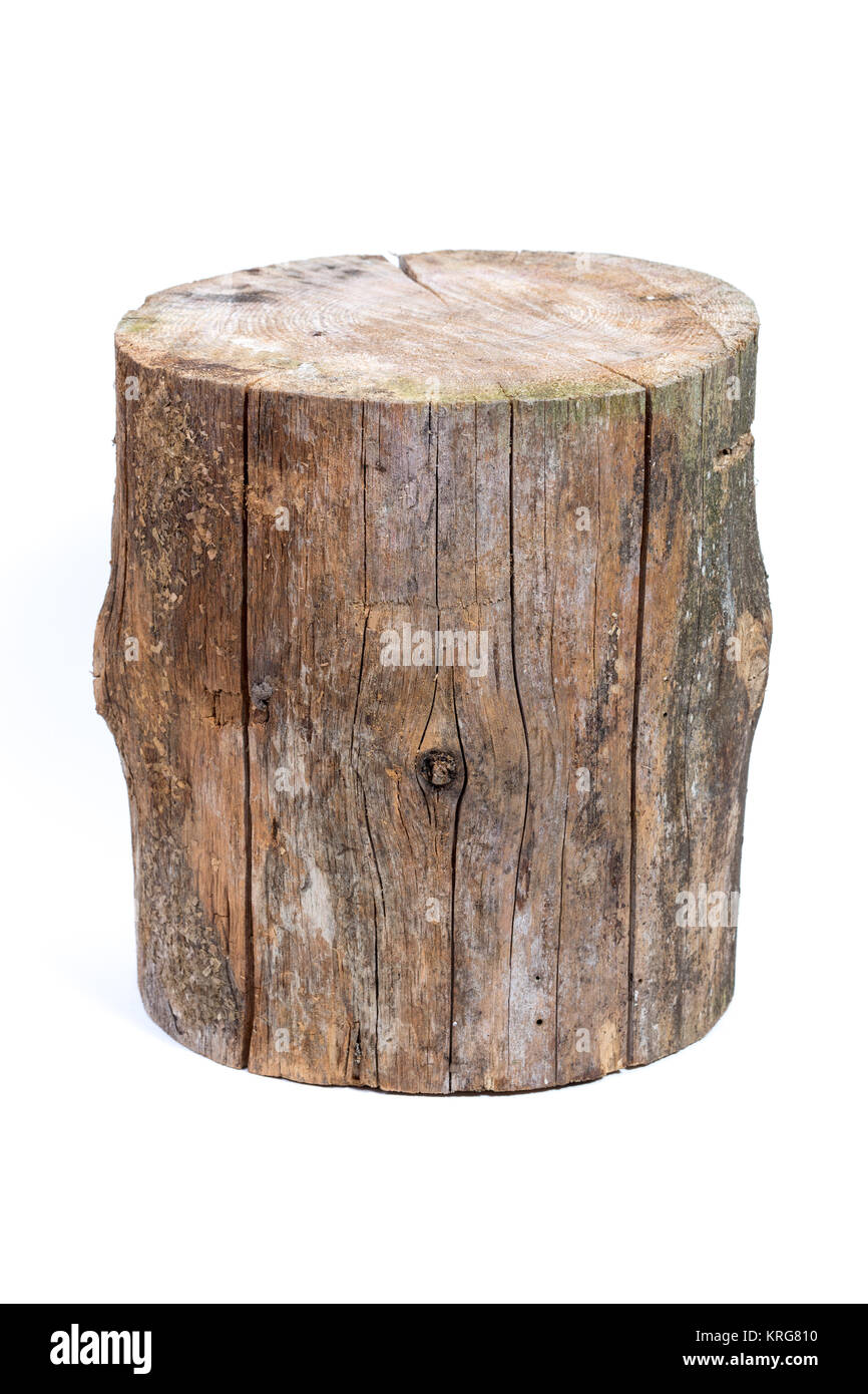 log isolated on a white background Stock Photo - Alamy