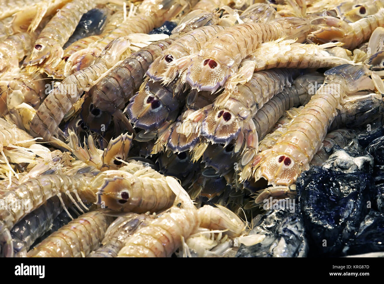 Live prawns market Stock Photo - Alamy