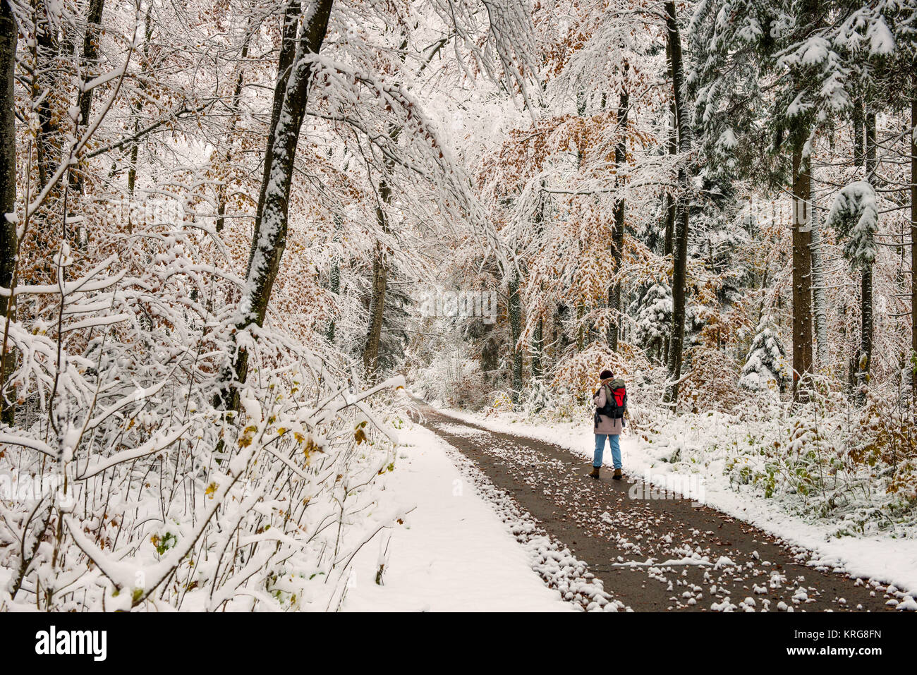 onset of winter Stock Photo - Alamy