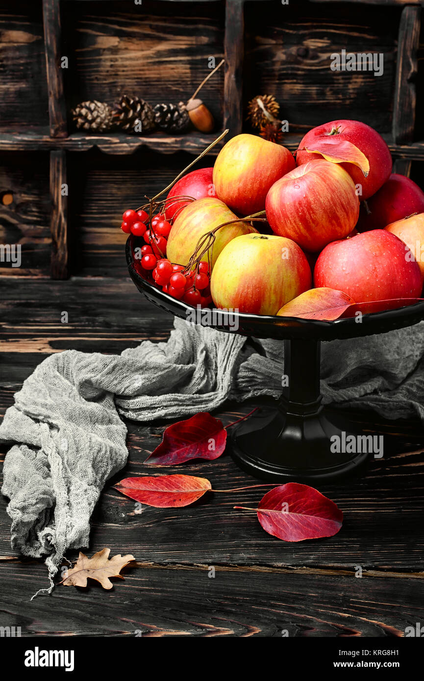 Harvest apples autumn varieties in stylish vase for fruits Stock Photo ...