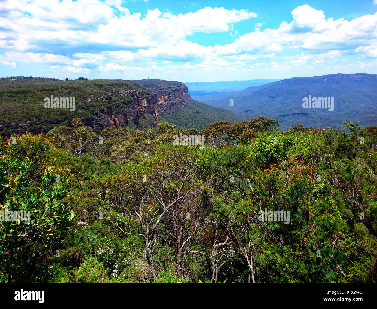 Australian mountain landscape. Large forested valley in the Blue ...