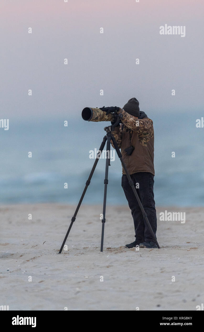 A photographer on the beach Stock Photo - Alamy