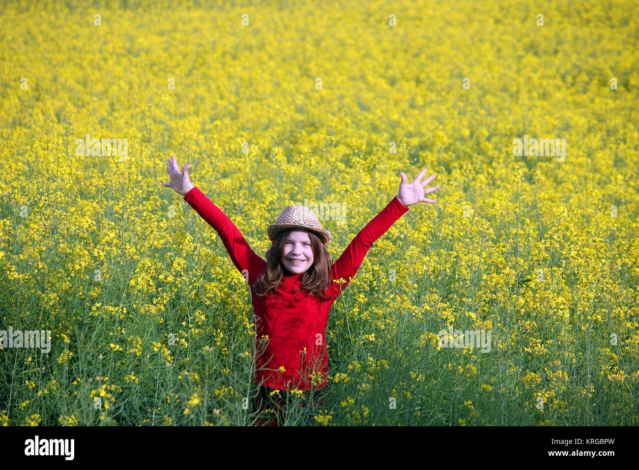 little girl with hands up on field spring season Stock Photo - Alamy