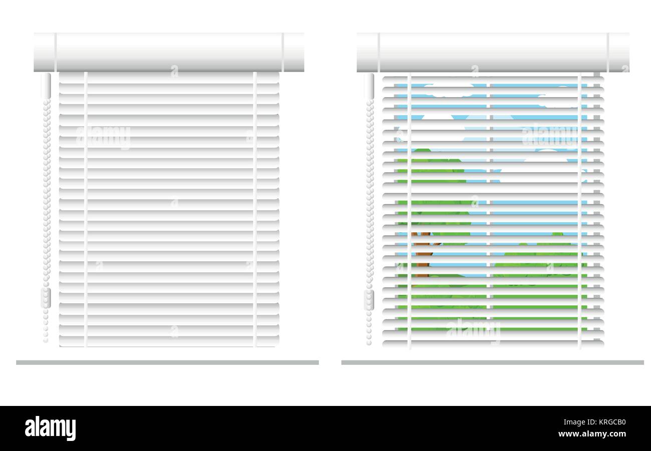 Detailed window set isolated vector illustration. Architectural details ...