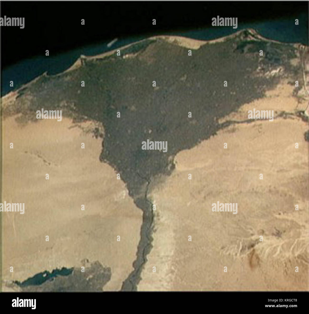 Niledelta hi-res stock photography and images - Alamy