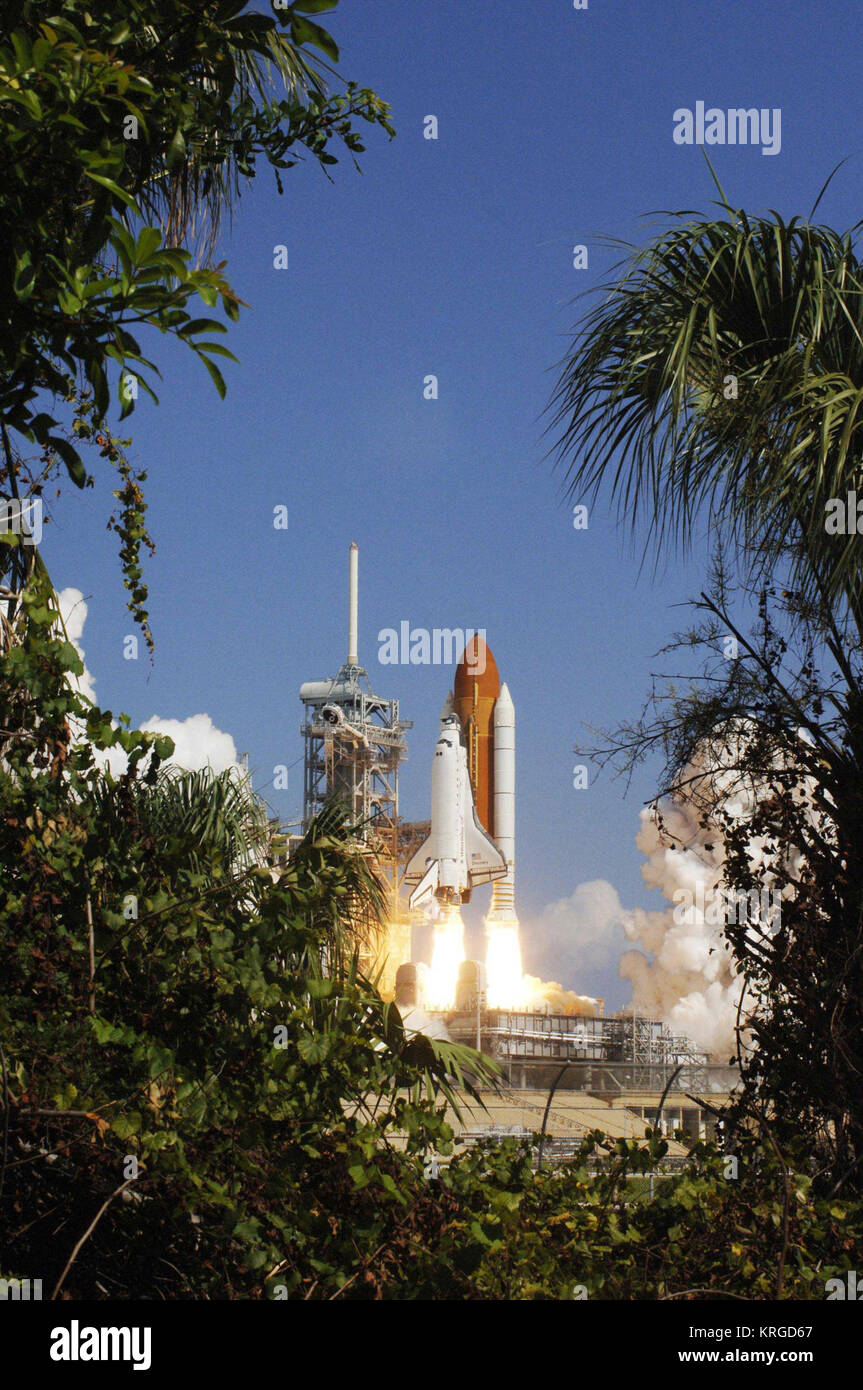 STS-114 Shuttle launch treeview Stock Photo - Alamy