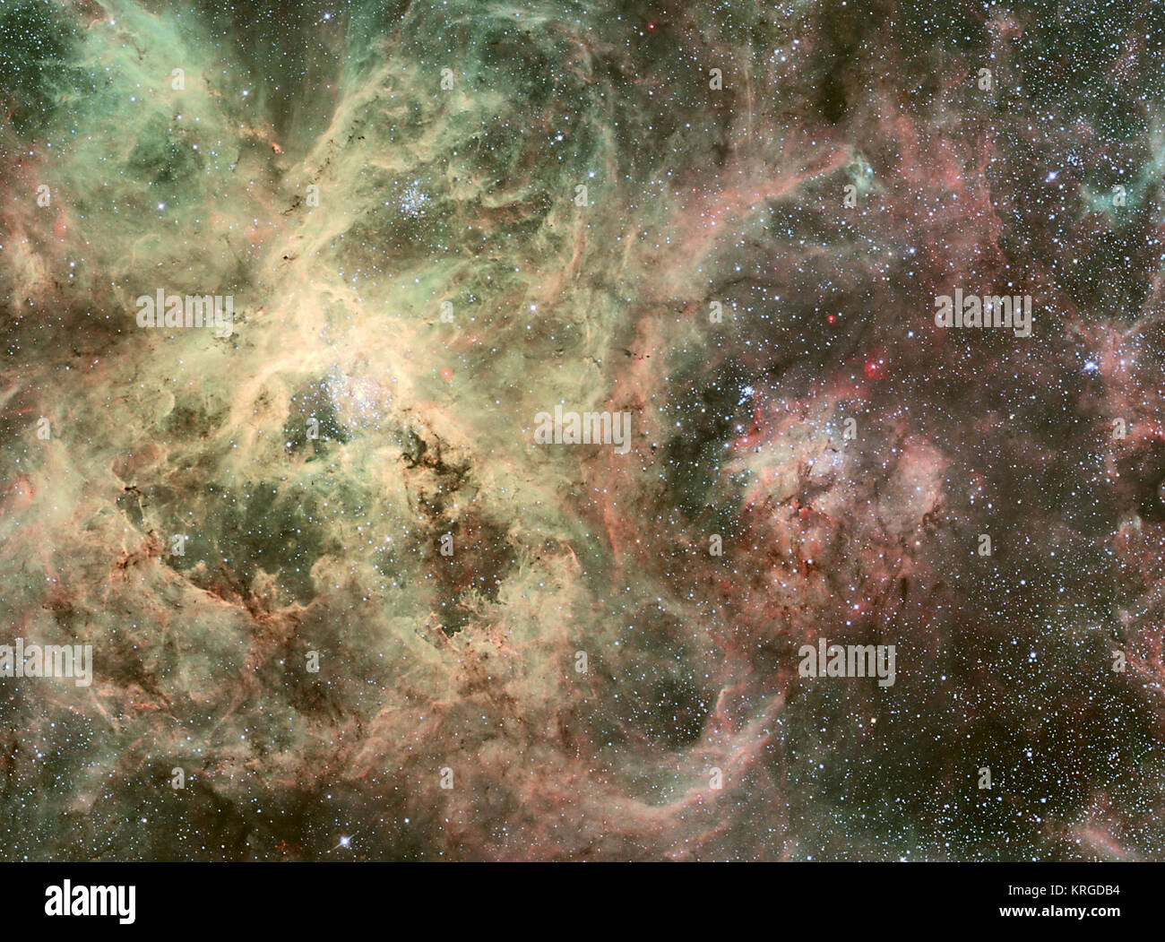 30 doradus hi-res stock photography and images - Alamy