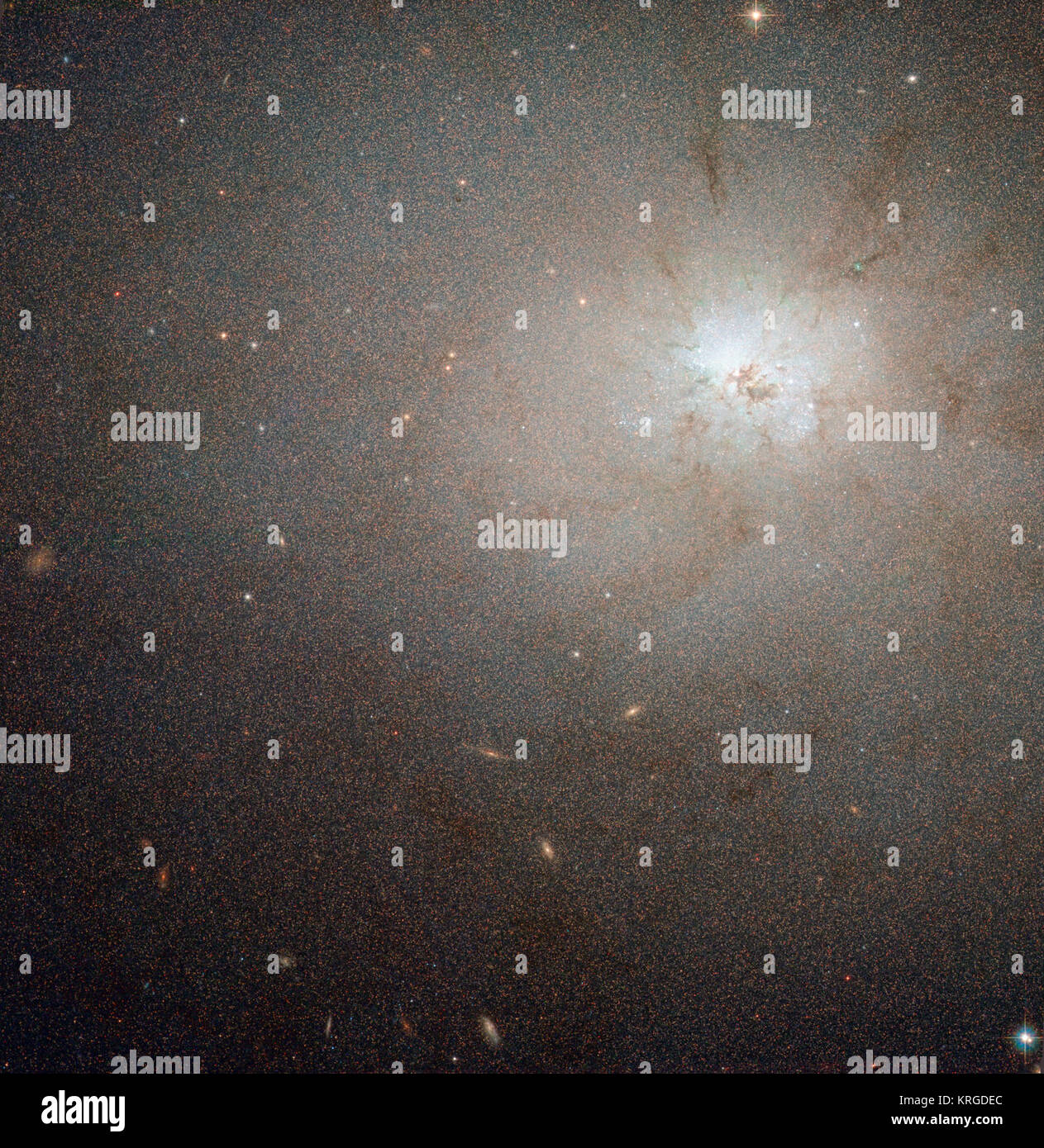 NGC 3077 (HST Stock Photo - Alamy