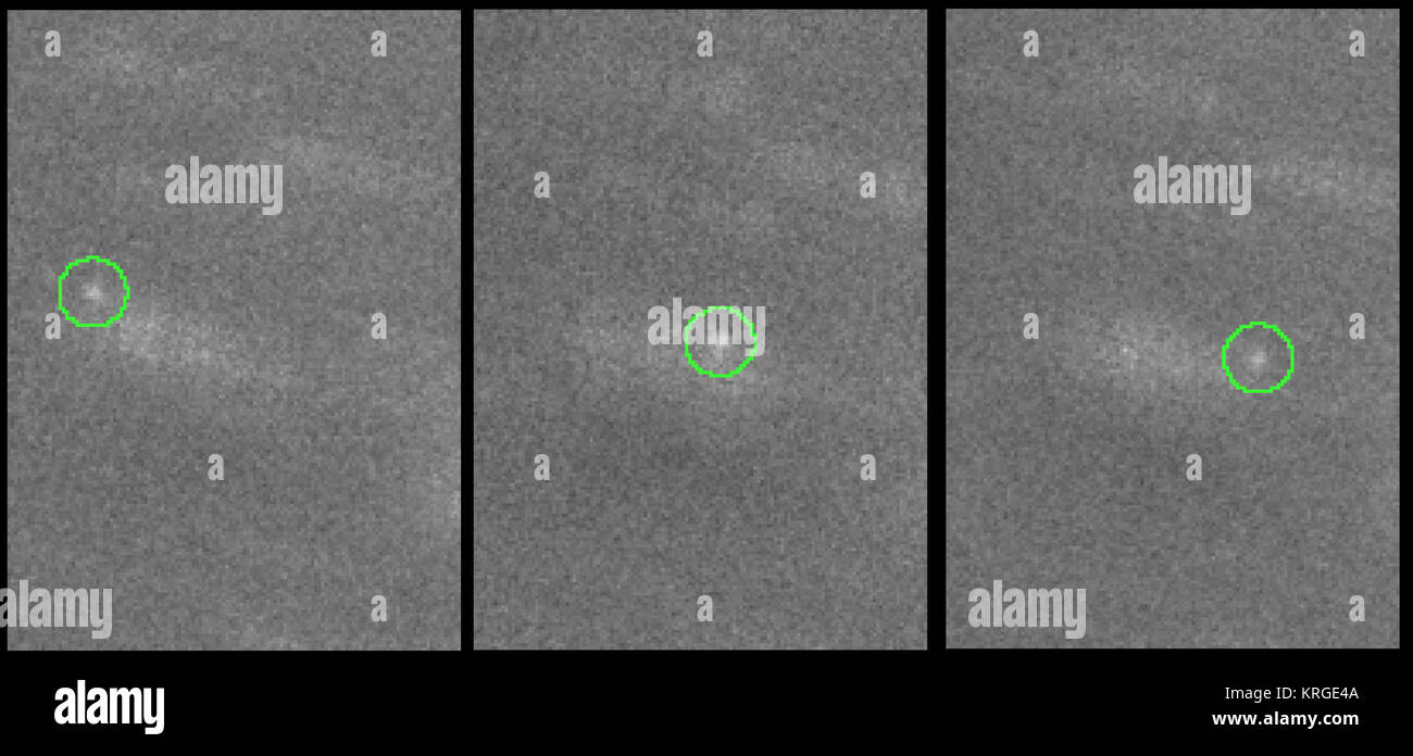 Halimede hi-res stock photography and images - Alamy