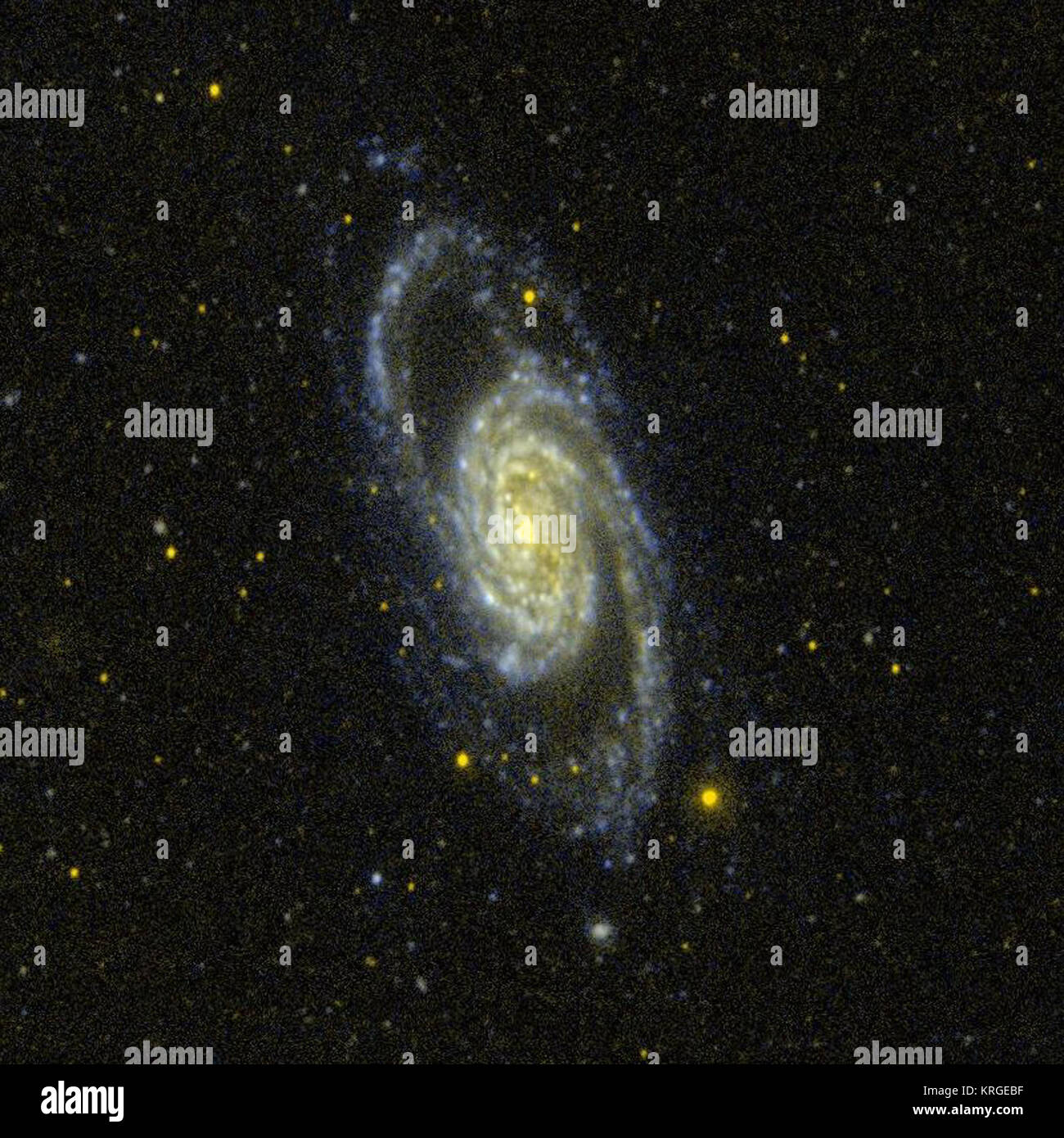 2903 High Resolution Stock Photography and Images - Alamy